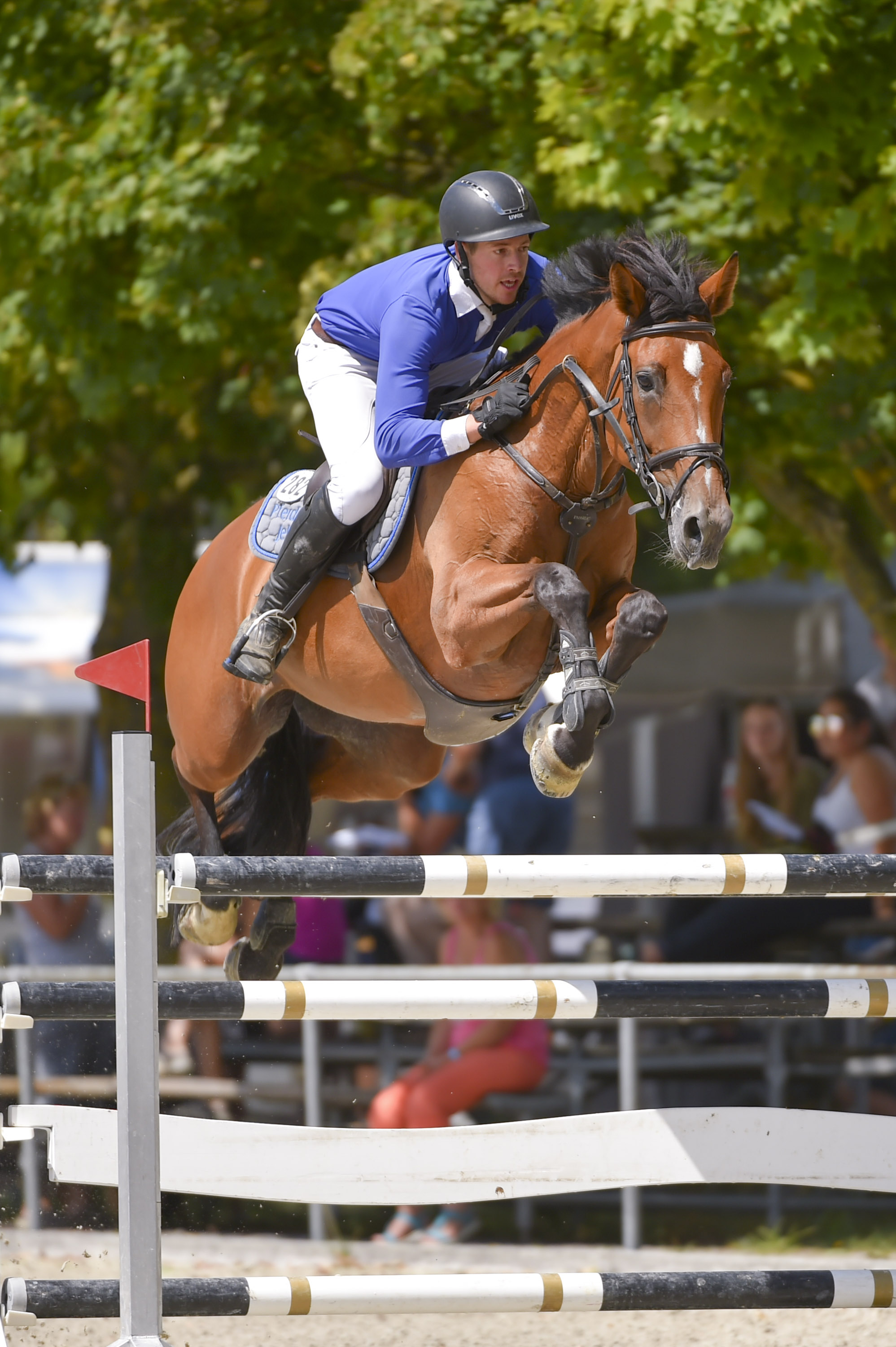 Starkes Starterfeld beim Hohenloher Reit Event - Mathias Jehle, Andy ...