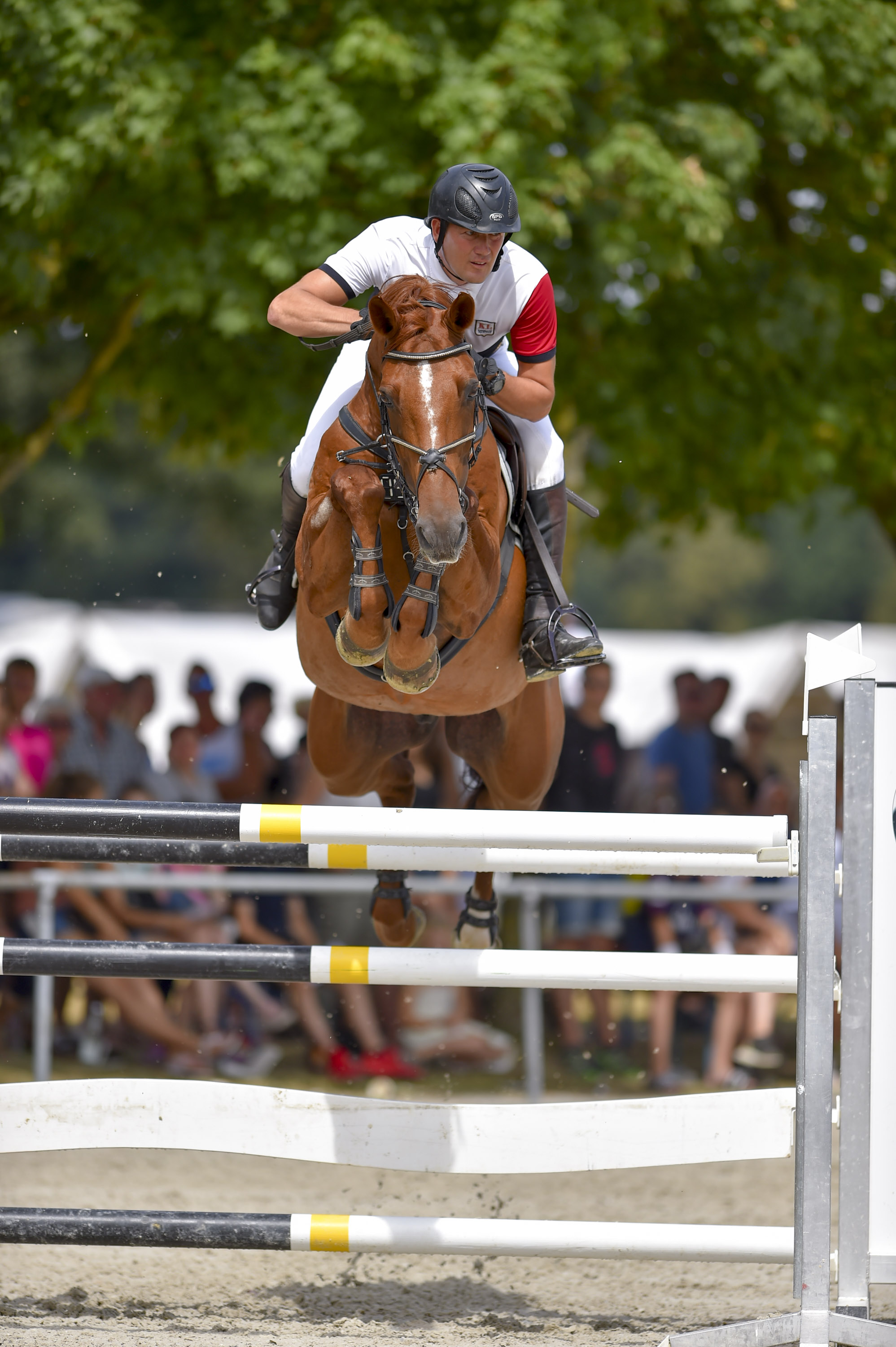 Vier Tage Springreiten in Rot am See | reitturniere.de | News ...