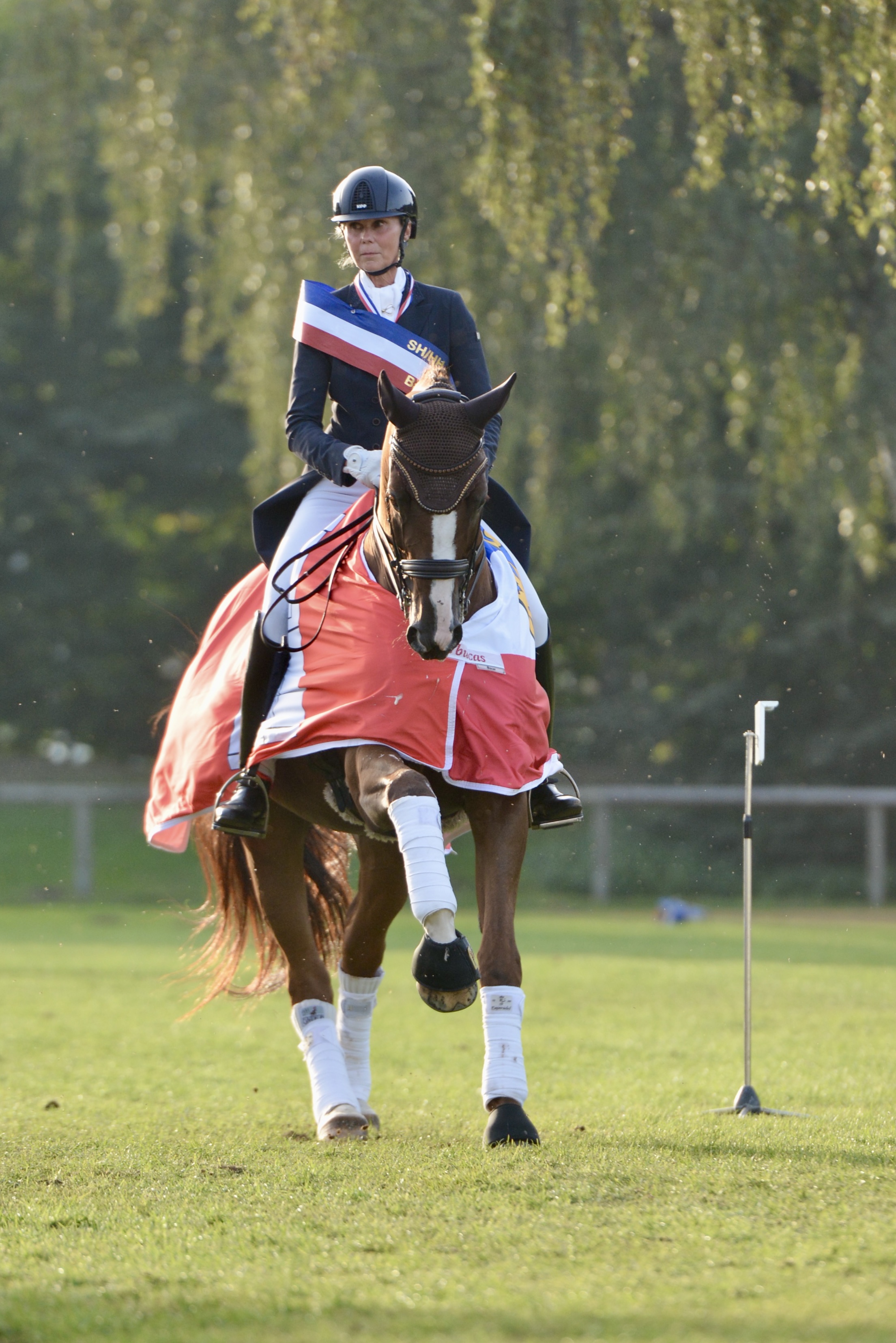 Das Landesturnier bittet nach Bad Segeberg | reitturniere.de | News ...