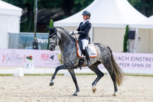 „Stolzer James“ top bei den Fünfjährigen - FEI WBFSH Weltmeisterschaft ...